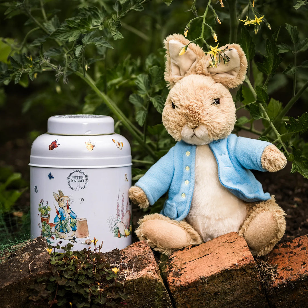 Beatrix Potter Peter Rabbit Plush & Tea Caddy Gift Set - New English Teas